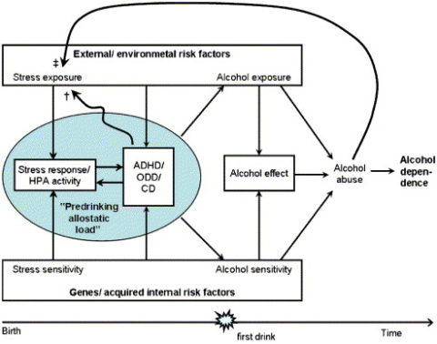 Alcohol and Drug Withdrawal Natural Recovery – NutriMedical
