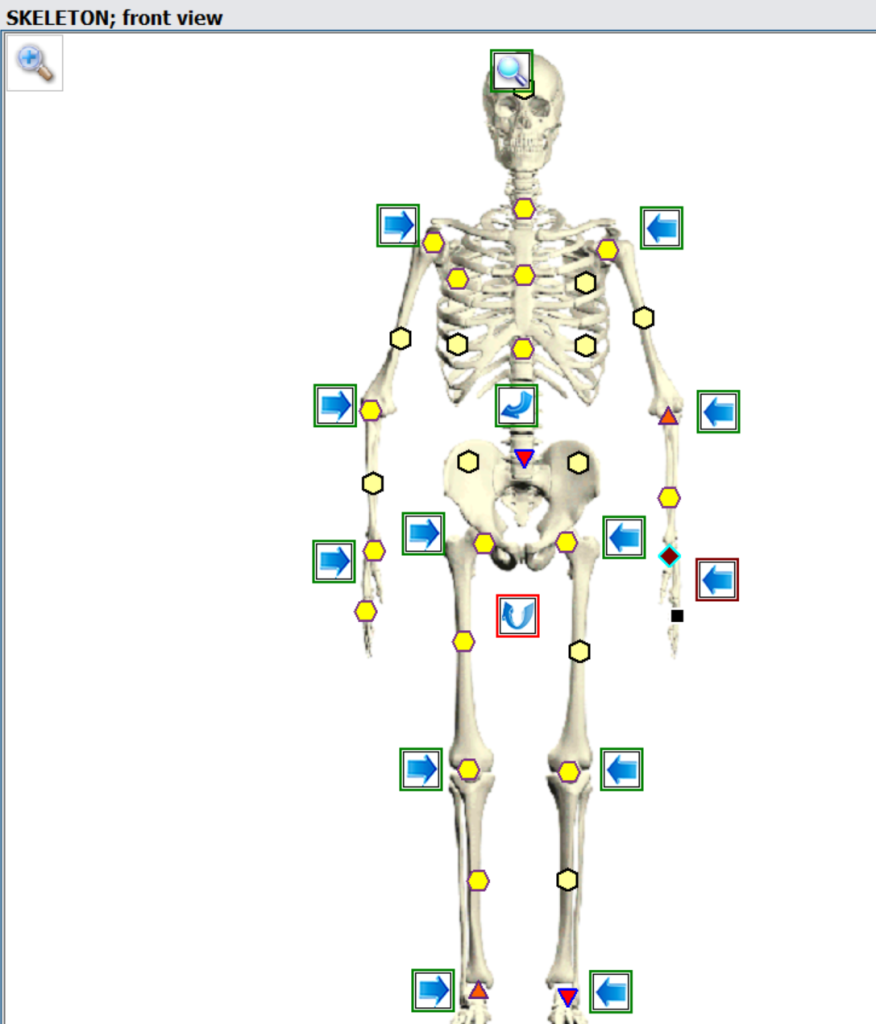 OSTEOPOROSIS OSTEOPENIA DEMINERALIZED BONE REGENERATION PROTOCOLS DEC ...