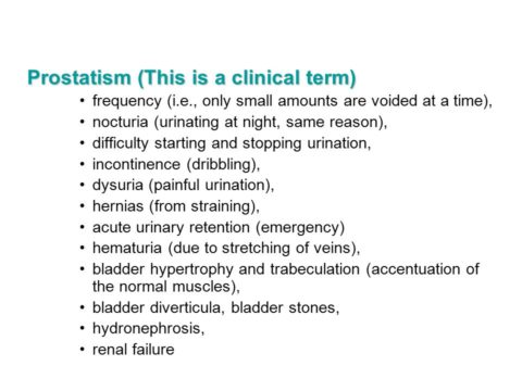 PROSTATE ENLARGED AND INFECTION FREQUENT URINATION – NutriMedical