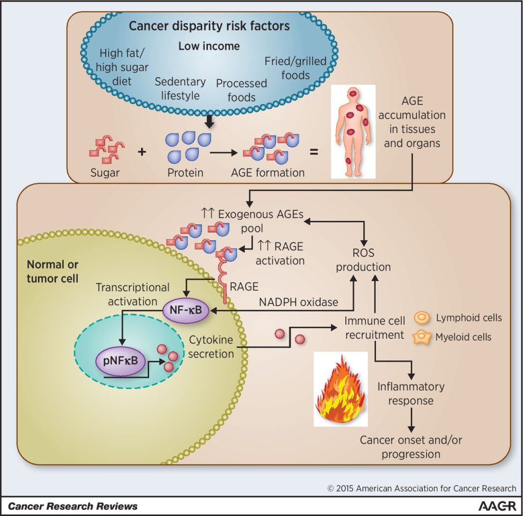 Diabetes Recovery Protocols – NutriMedical