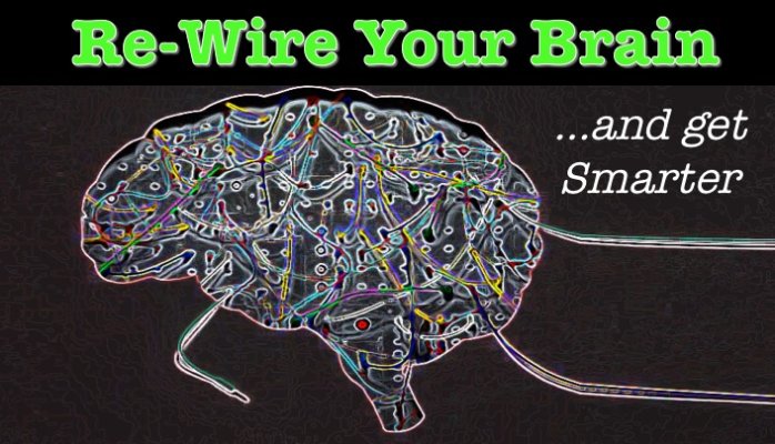 Soul Higher Brain Curiosity Quotient CQ Pineal God Gene VMAT2 Lamp ...